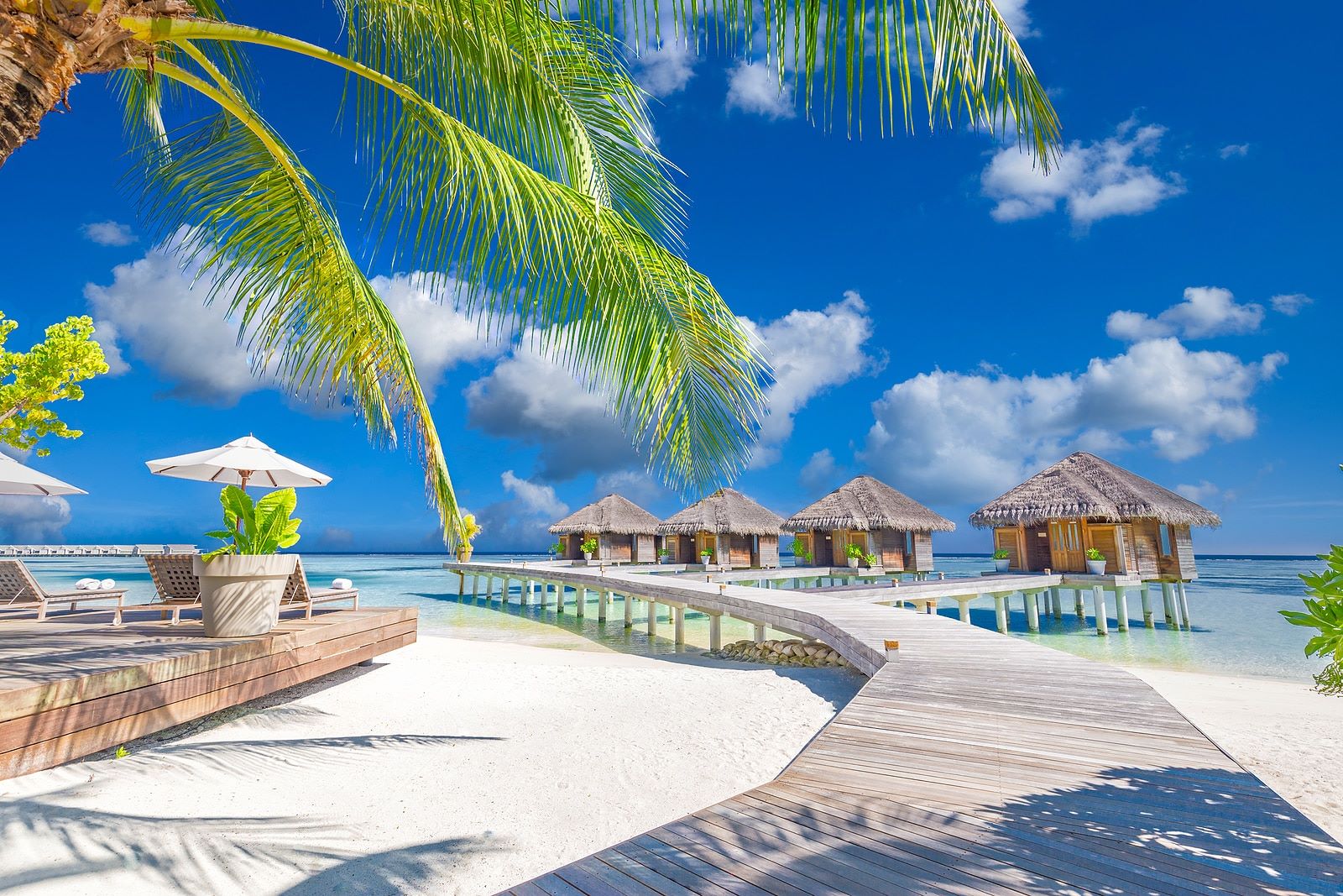 Tripps Worldwide Is Your Number One Travel Choice